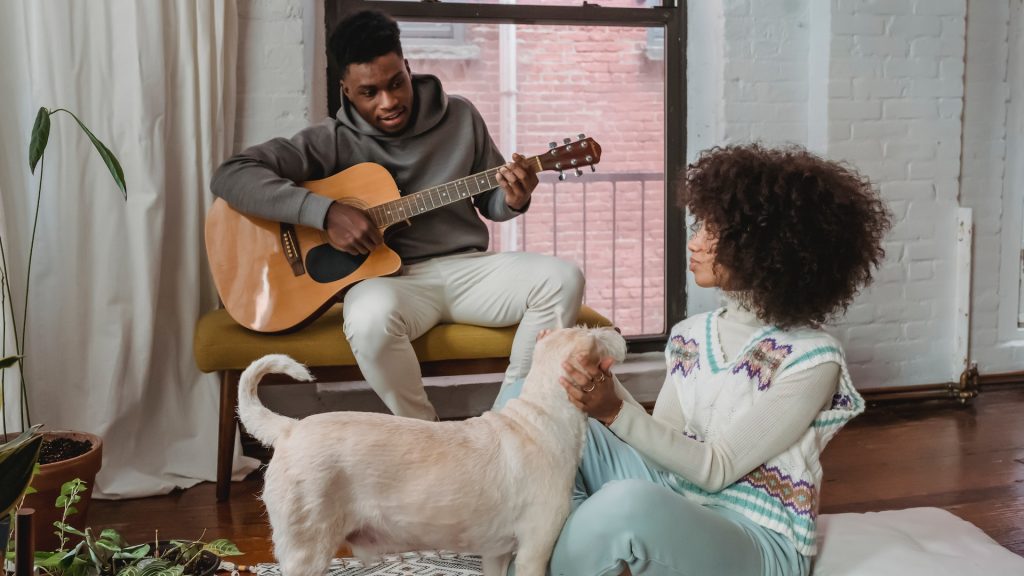 Does Music Affect Animal Behavior - All Pets’ Blog of Current ...